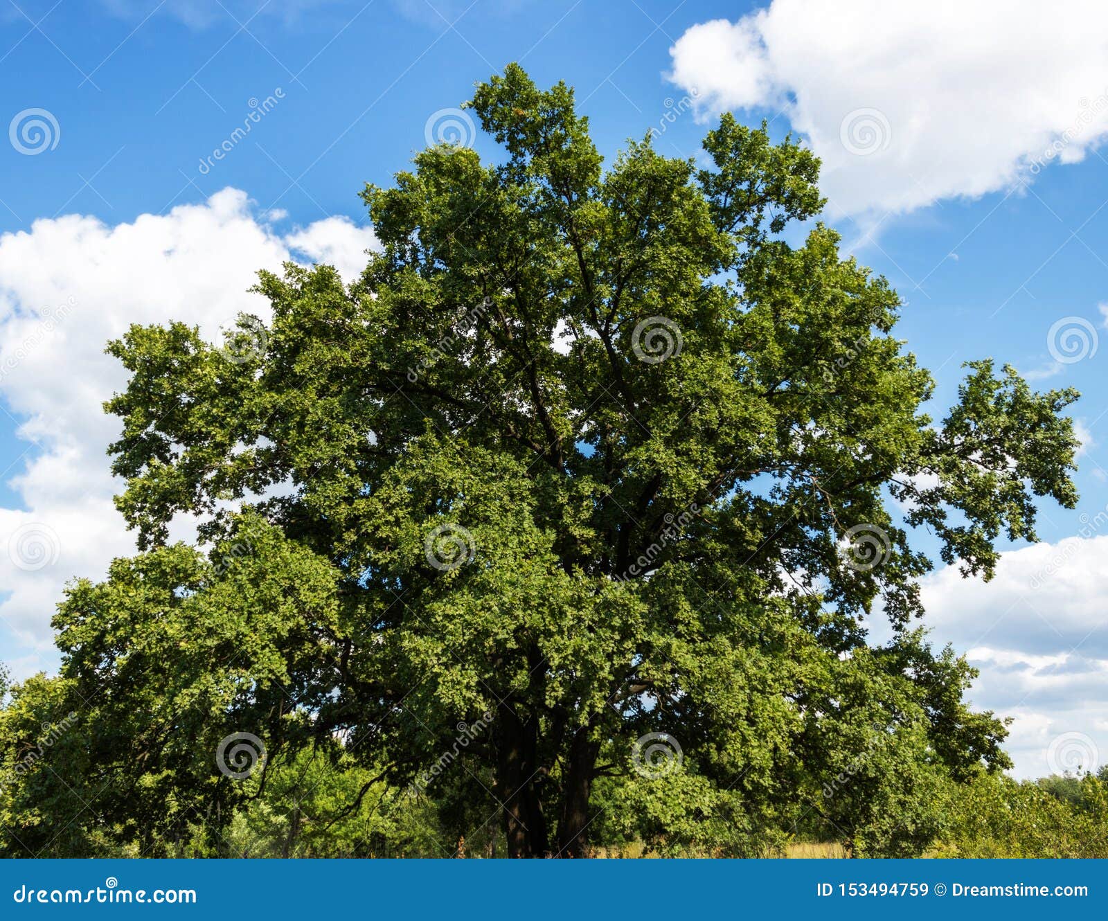 Blue sky background stock image. Image of nature, heavens - 153494759