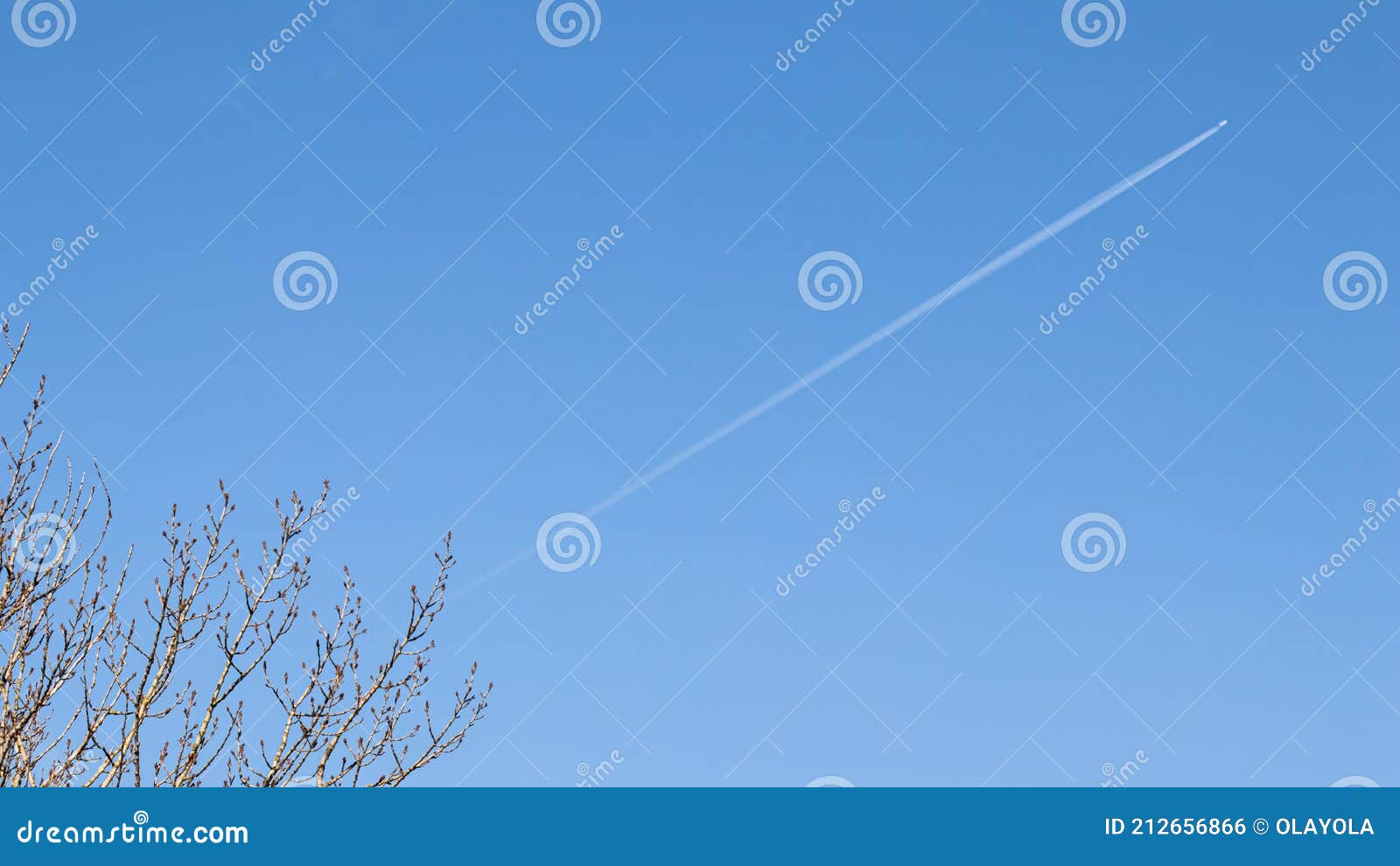 Blue Sky Background with Flying Plane and Tree Branches in Early Spring ...
