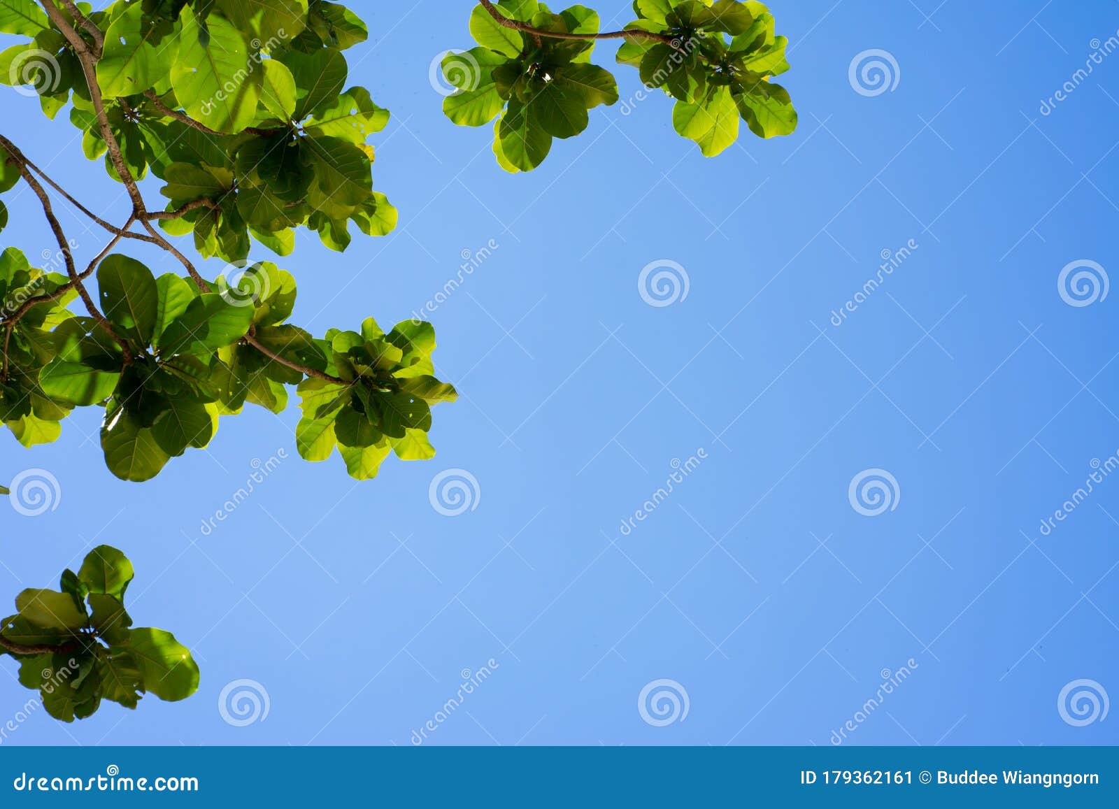 Blue Sky Background, Full Frame of Blue Sky Stock Image - Image of ...