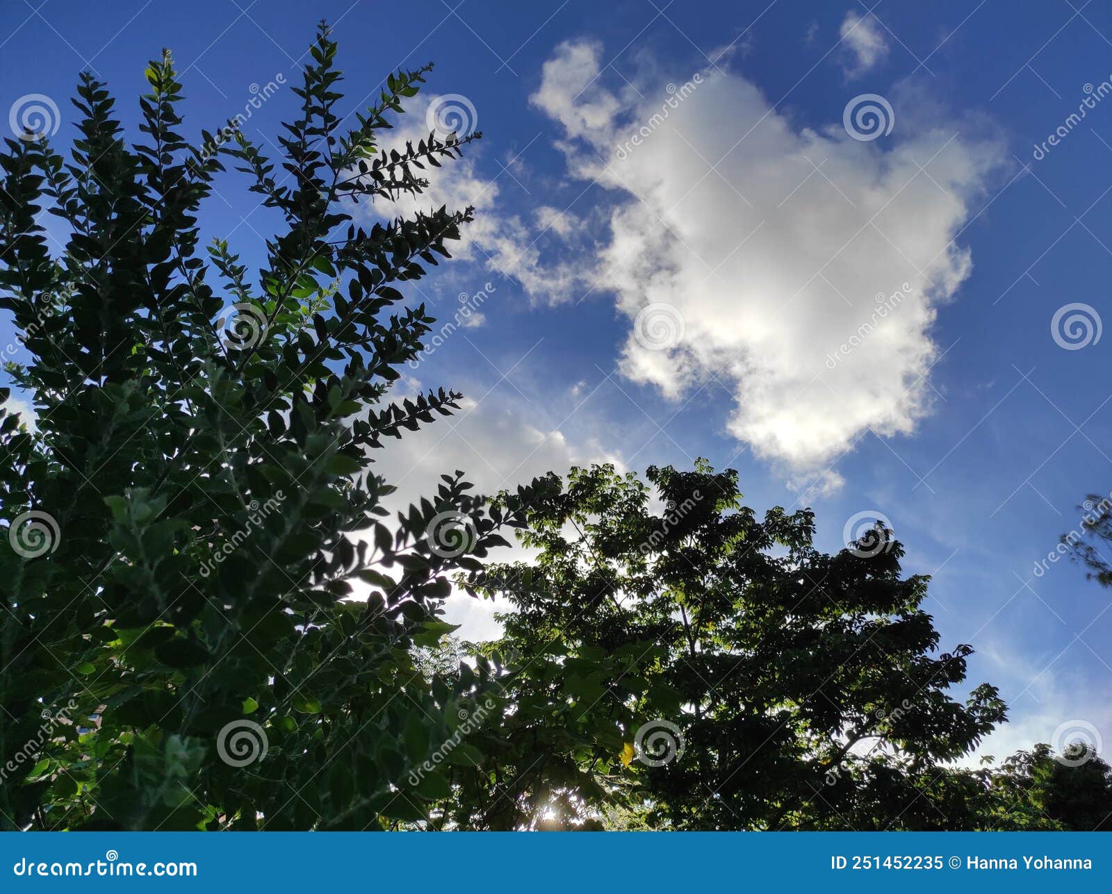 Blue Sky Background, White Cloud and Trees Stock Image - Image of ...