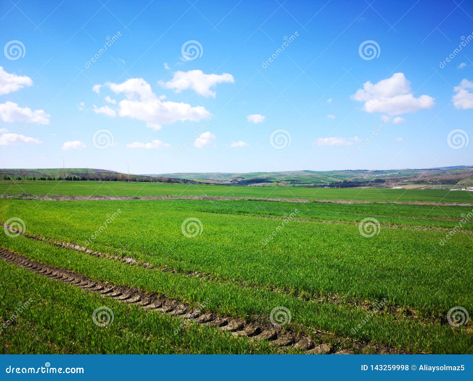 Blue Sky, Beautiful Cloud and Grass Field, Spring Time Stock Photo ...