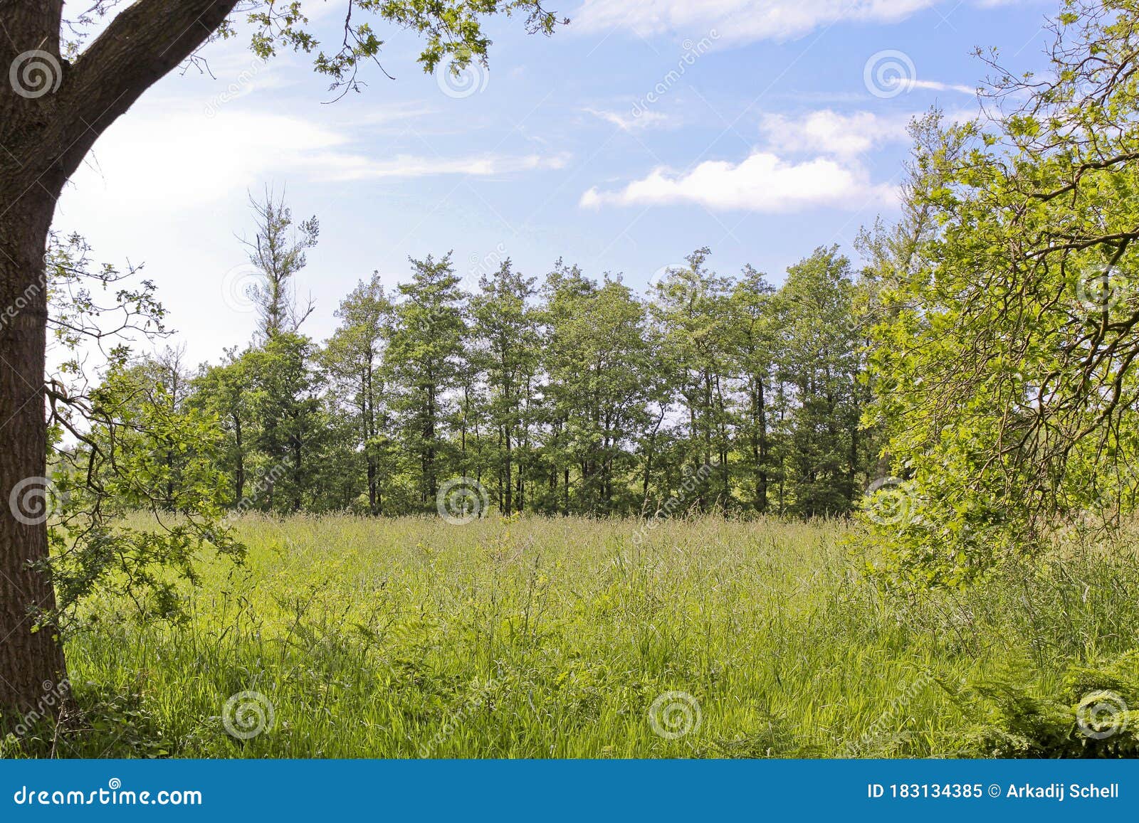 Blue Sky with Beautiful Natural Landscape, Lower Saxony Stock Image ...