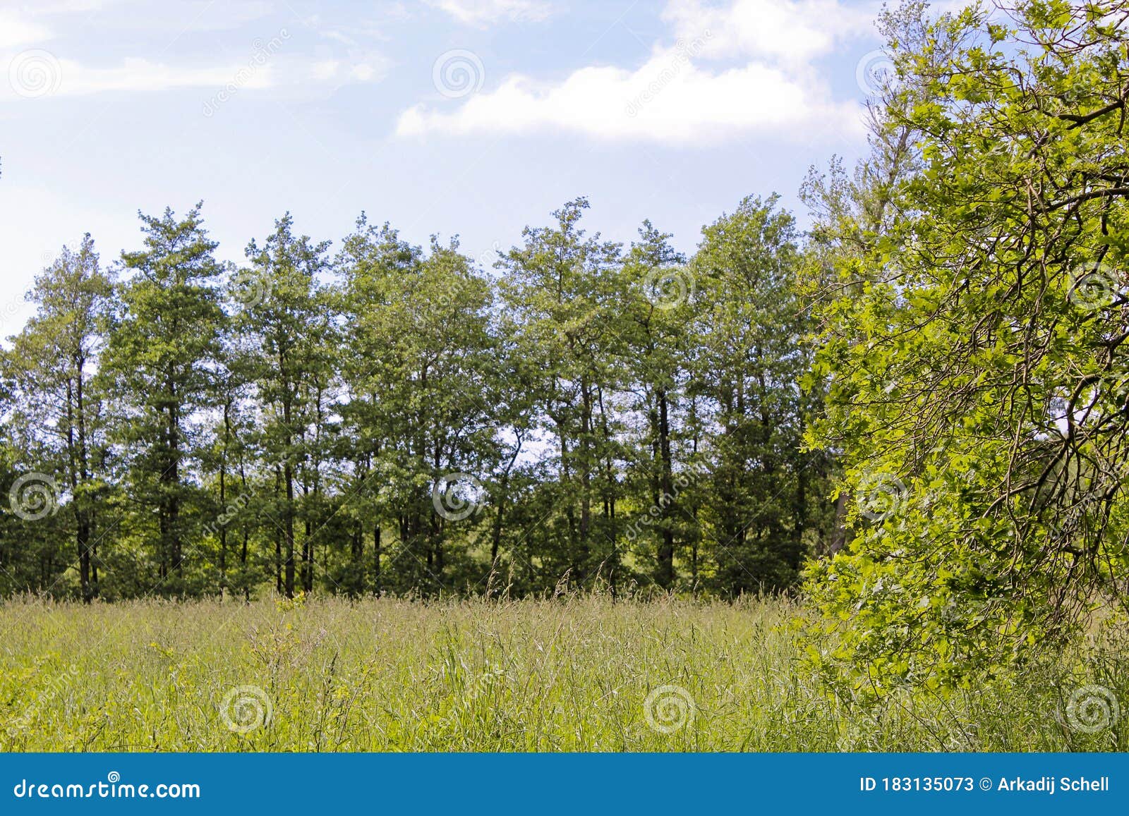 Blue Sky with Beautiful Natural Landscape, Lower Saxony Stock Image ...