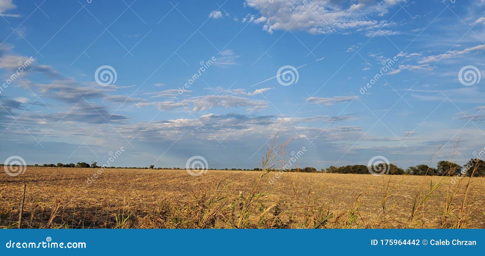 The Blue Sky Beauty of Texas Stock Photo - Image of texas, blue: 175964442