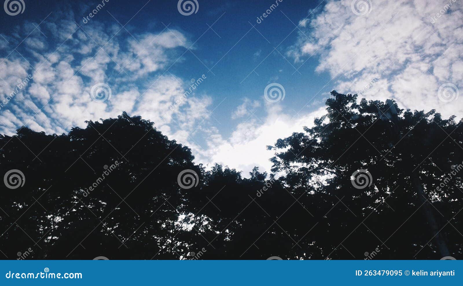 The Blue Sky is so Bright Covered by Shady Trees Stock Image - Image of ...