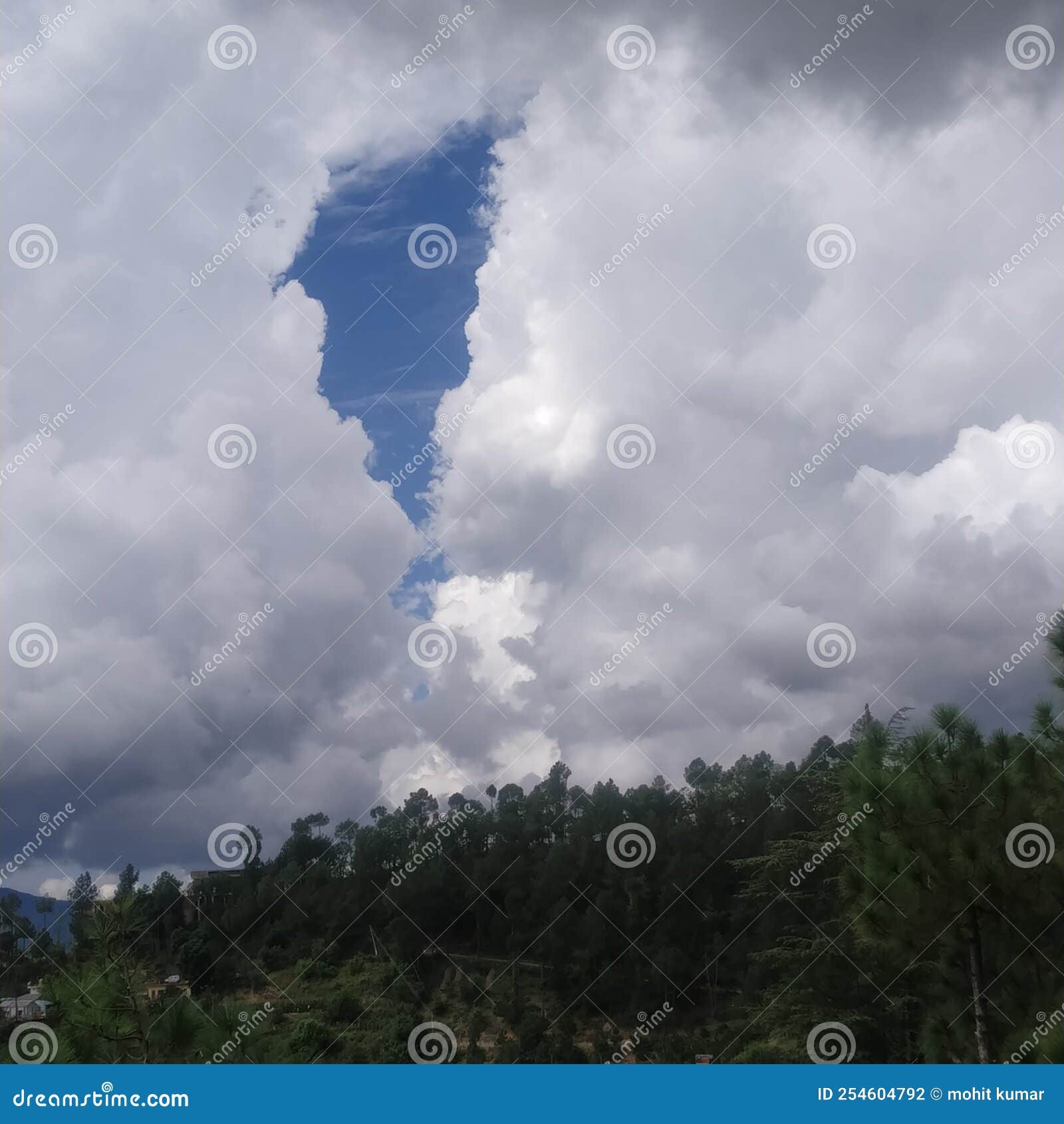 Blue sky Cloud greenery stock photo. Image of winter - 254604792