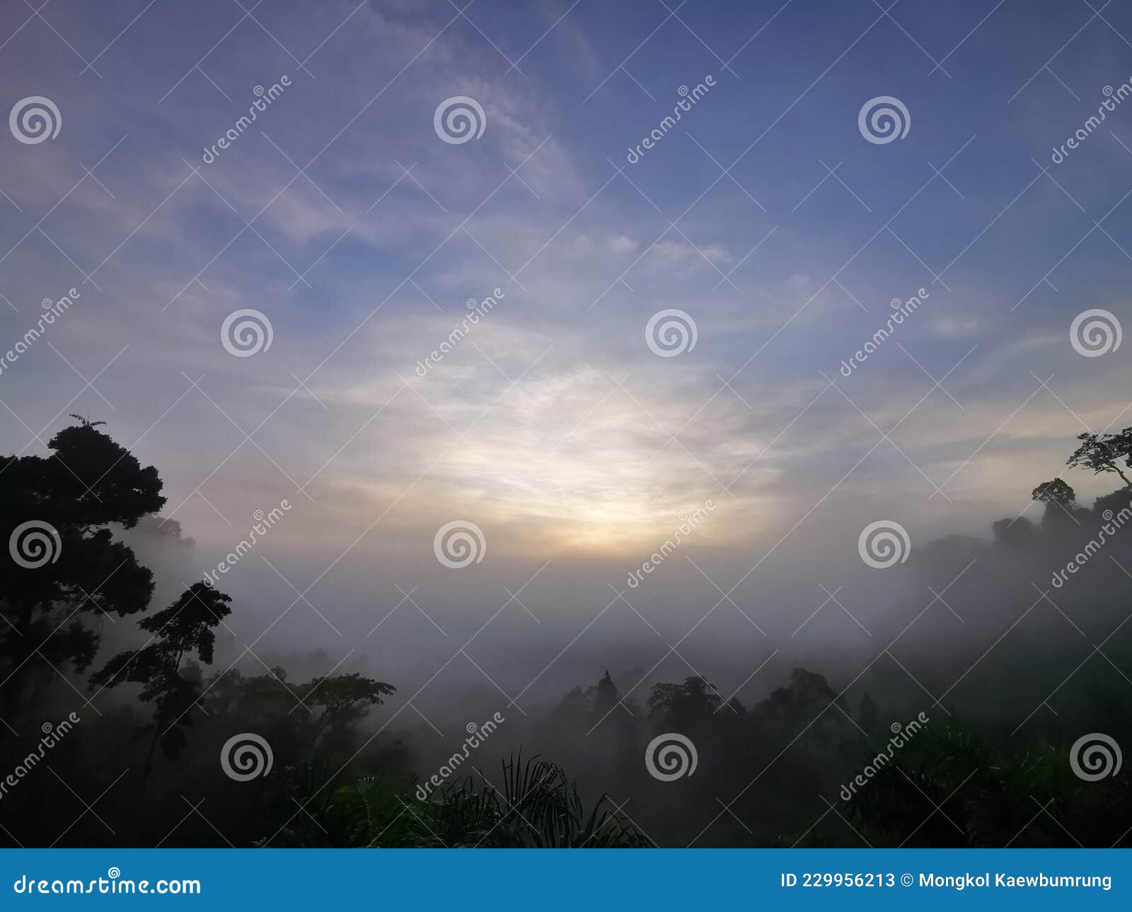 Blue Sky with Clouds Form Tropical Rainforest Stock Image - Image of ...