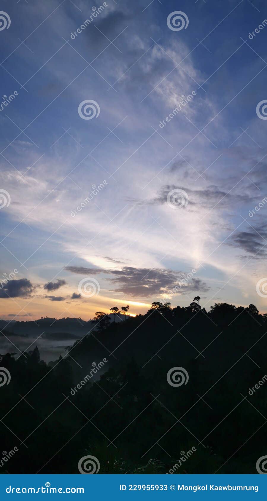 Blue Sky with Clouds Form Tropical Rainforest Stock Image - Image of ...