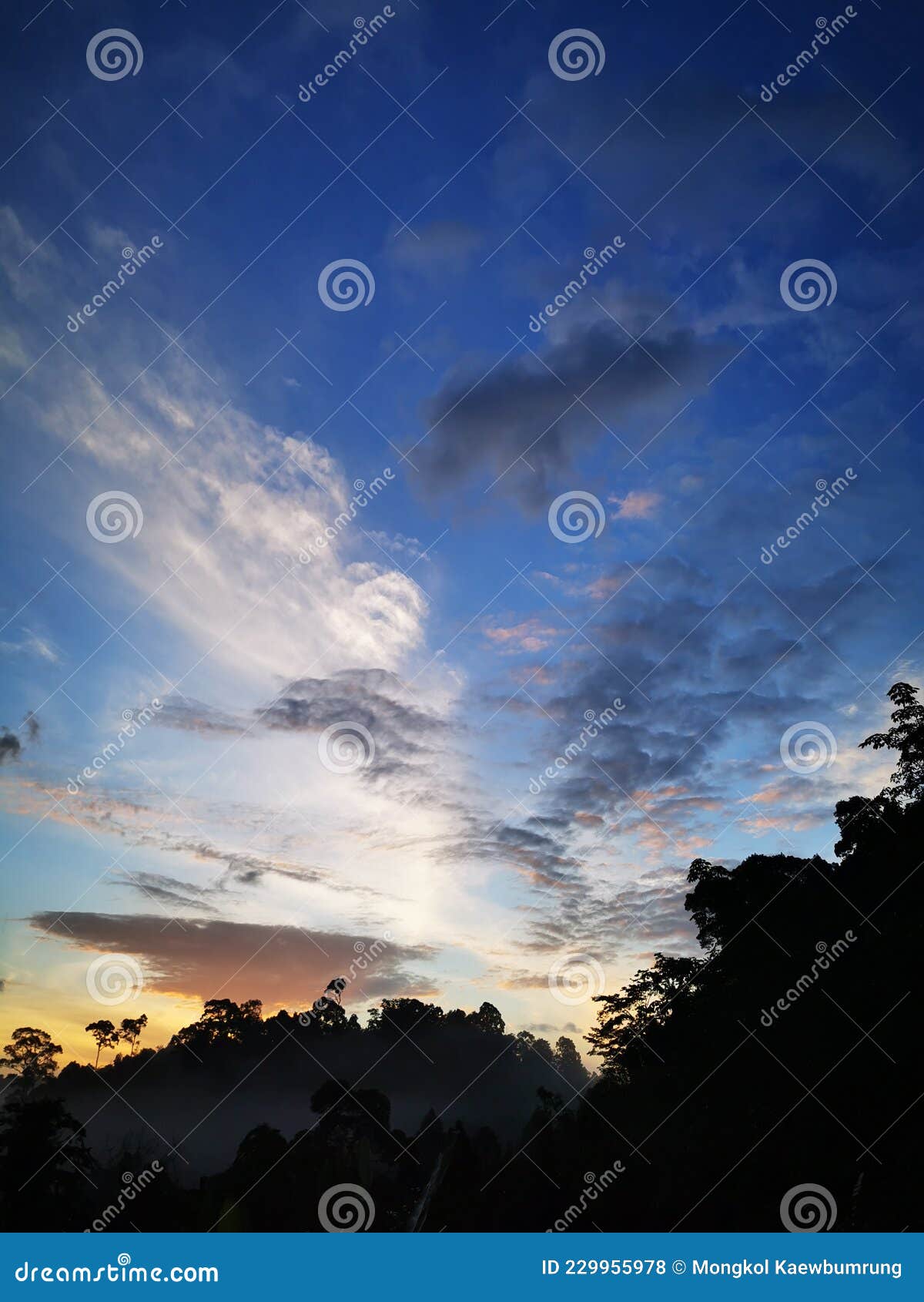 Blue Sky with Clouds Form Tropical Rainforest Stock Photo - Image of ...