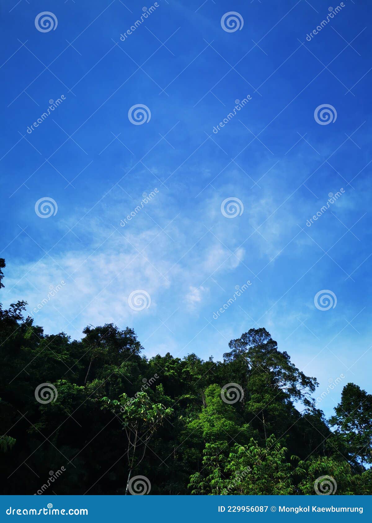 Blue Sky with Clouds Form Tropical Rainforest Stock Image - Image of ...