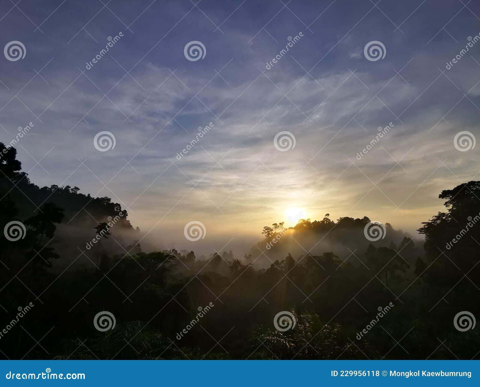 Blue Sky with Clouds Form Tropical Rainforest Stock Photo - Image of ...