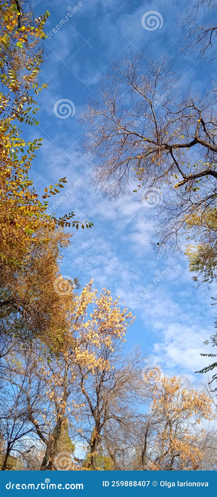 Blue Sky with Clouds, Gold Levels Stock Image - Image of woodland ...