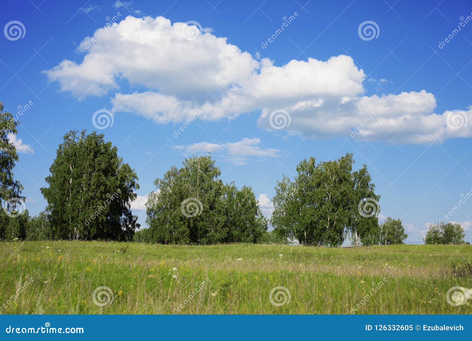 Blue Sky with Clouds Over the Field Stock Image - Image of cloudscape ...
