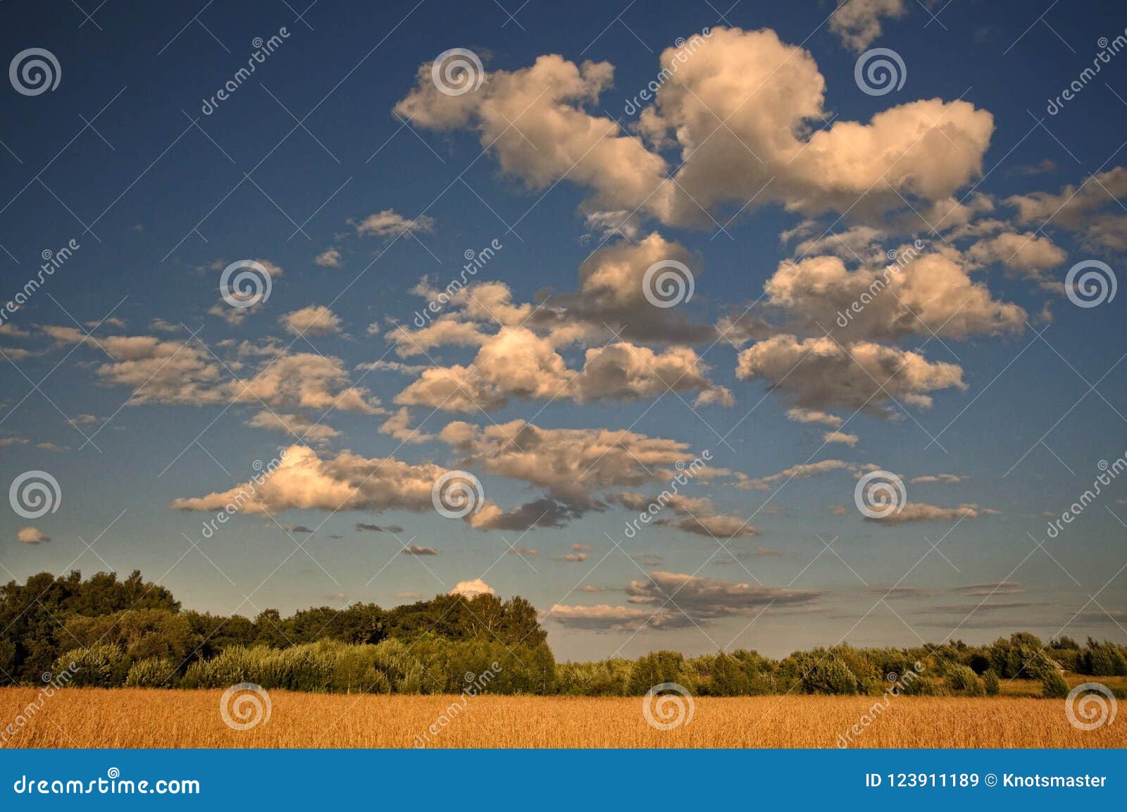Clouds over the field. stock image. Image of natural - 123911189