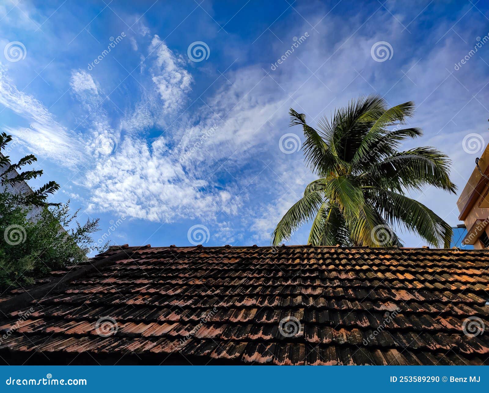 Blue Sky and a Coconut Tree Above the Roof Stock Photo - Image of ...