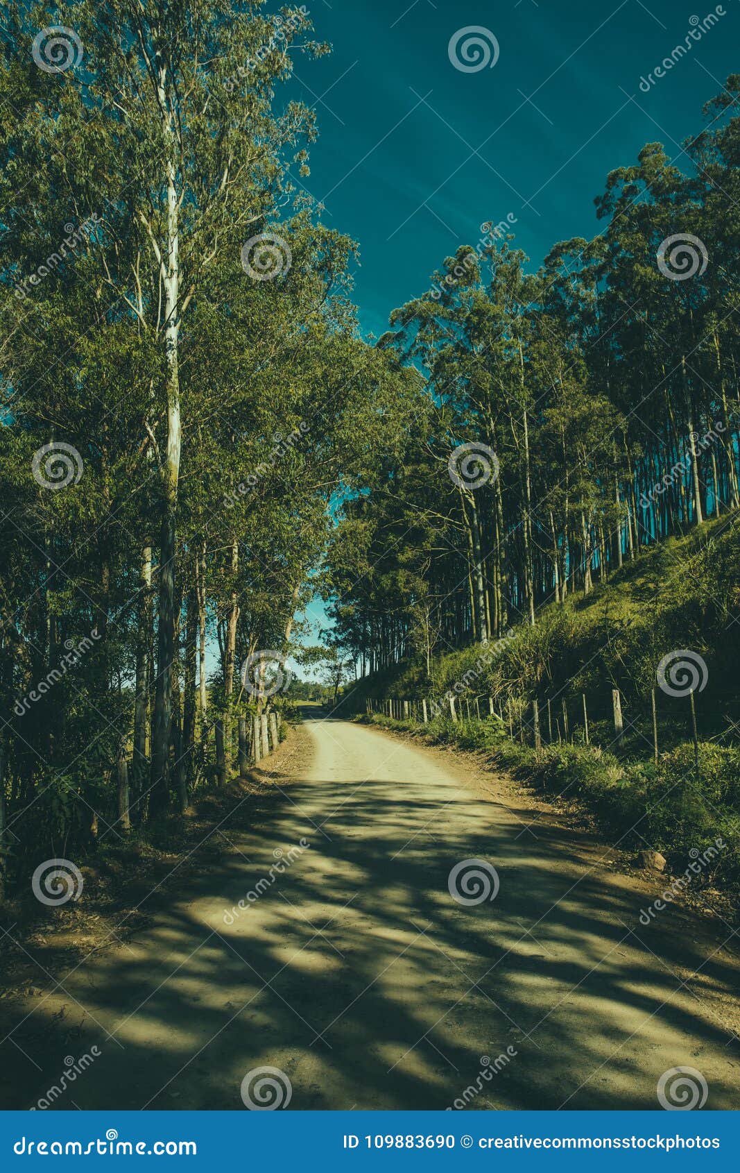Blue, Sky, Countryside Picture. Image: 109883690