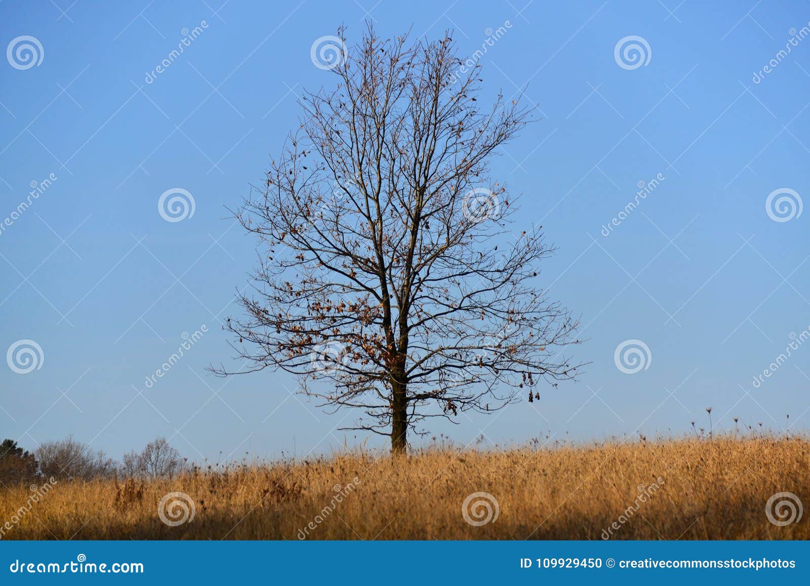 Blue, Sky, Countryside Picture. Image: 109929450