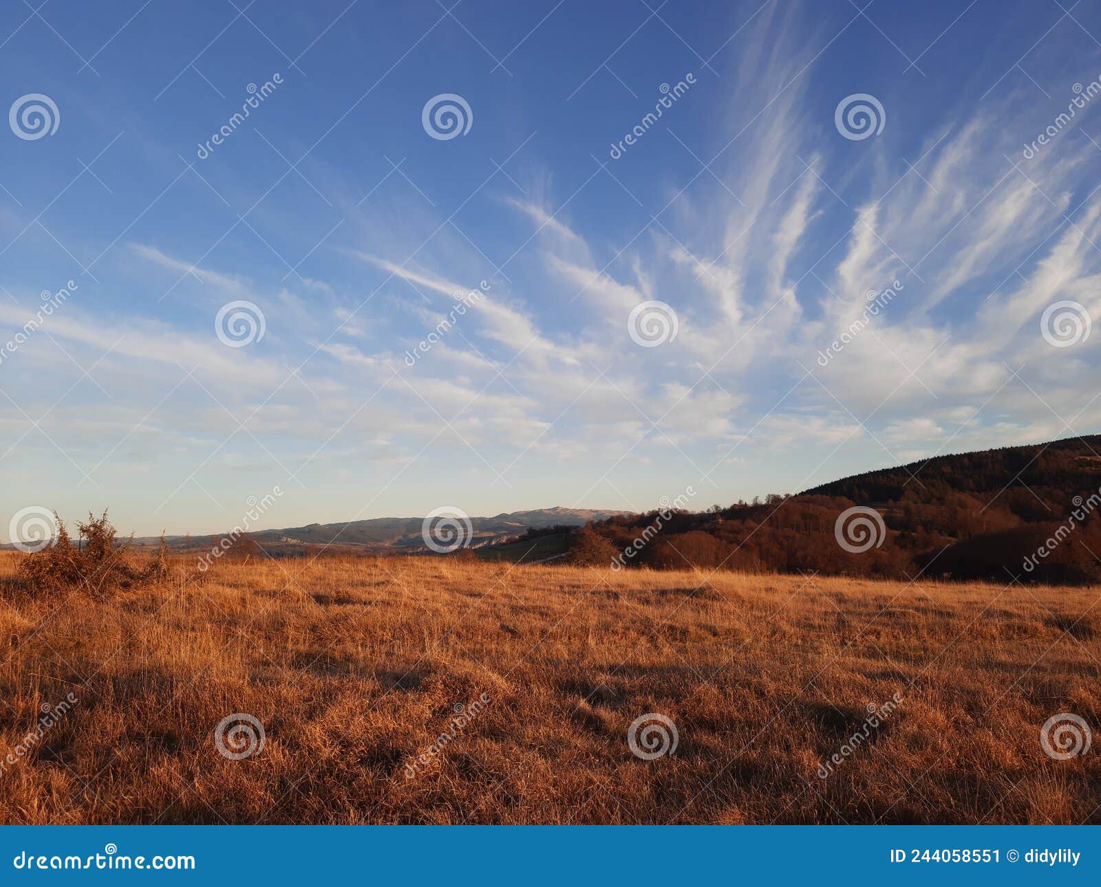 Blue sky in the fall stock image. Image of dawn, landscape - 244058551