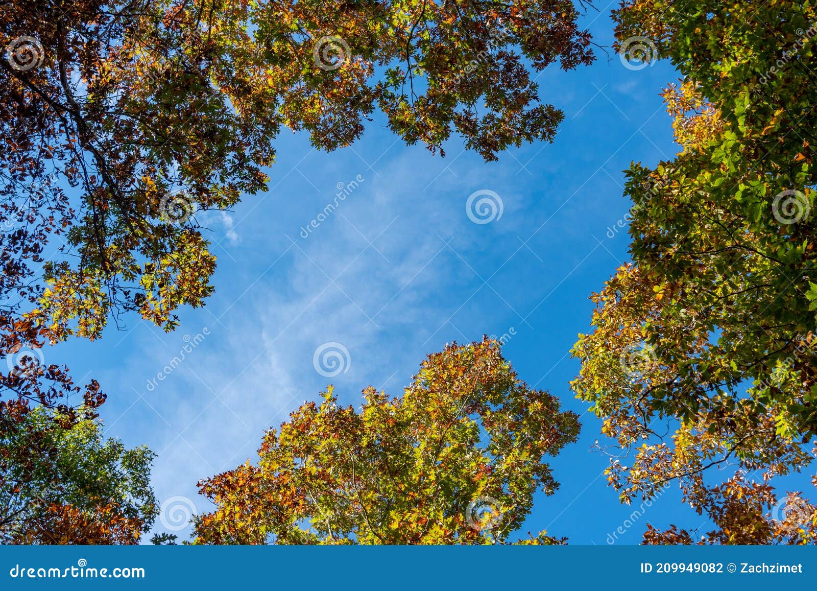 Blue Sky and Fall Color in the Treetops Stock Photo - Image of leaves ...