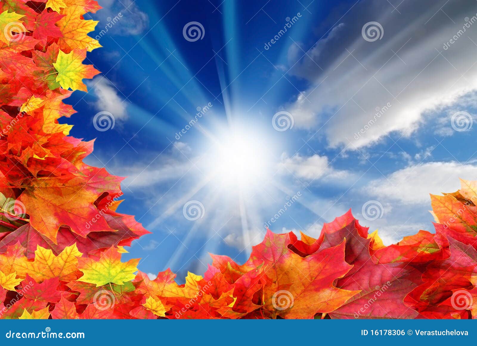 Blue Sky and Fall Foliage Frame Stock Photo - Image of beautiful, color ...