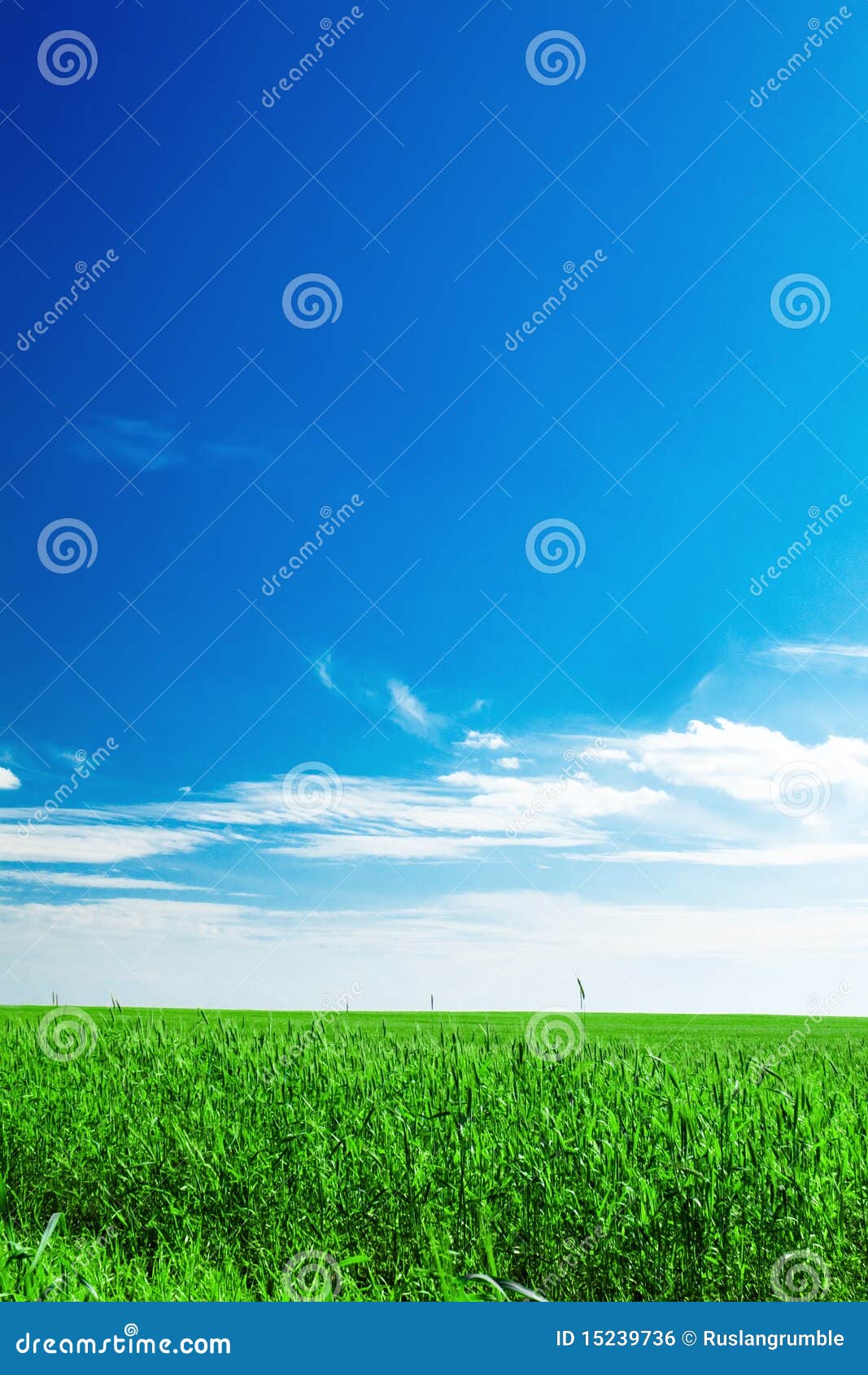 Blue sky and field stock photo. Image of front, landscape - 15239736