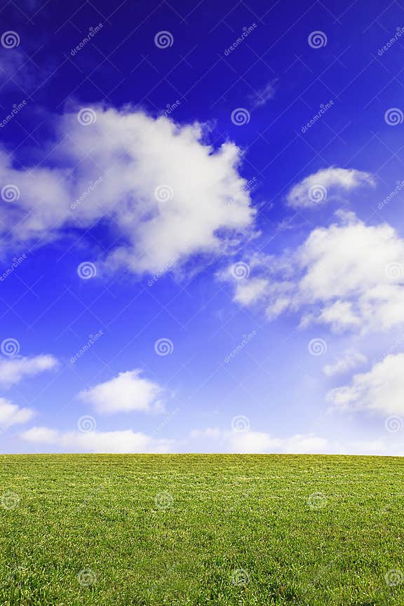Blue sky and field stock photo. Image of tranquil, outdoors - 28009870