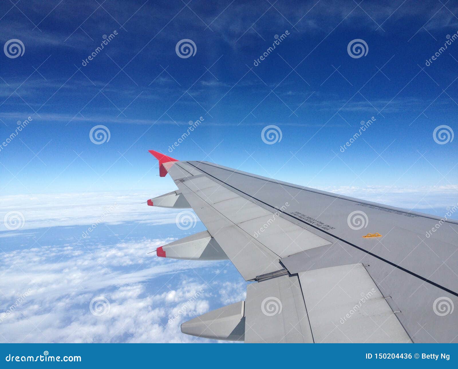 Fly on plane stock photo. Image of white, cloud, plane - 150204436