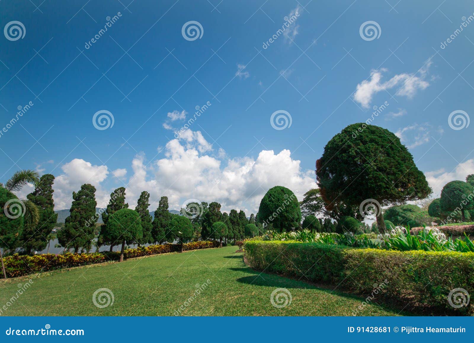 Blue sky and garden stock image. Image of outdoors, bright - 91428681