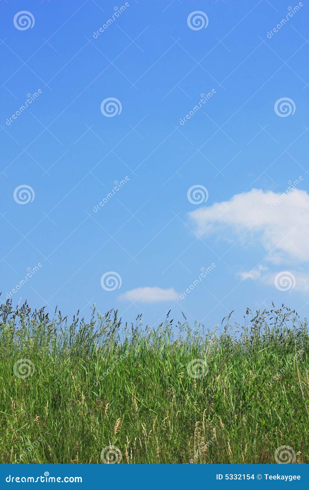 Blue sky and green grass stock photo. Image of nature - 5332154