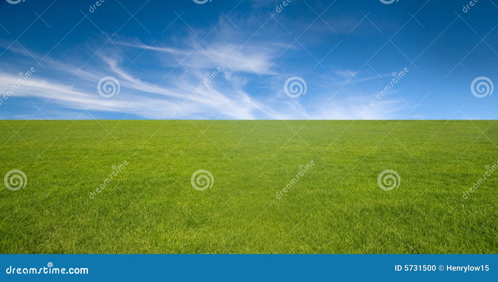 Blue Sky and green grass stock photo. Image of spring - 5731500