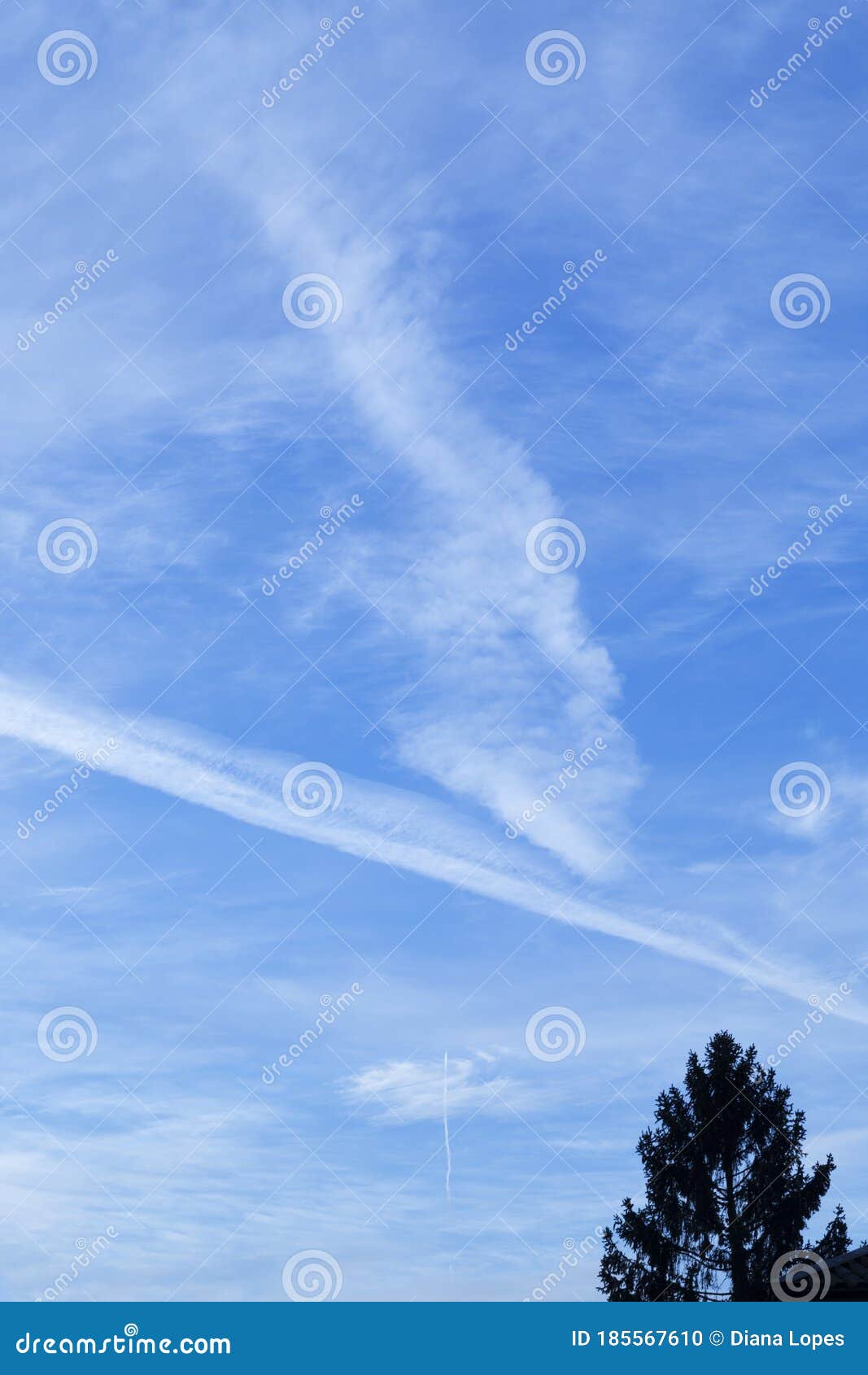Blue Sky with Hard Clouds and Silhouette Tree Stock Photo - Image of ...