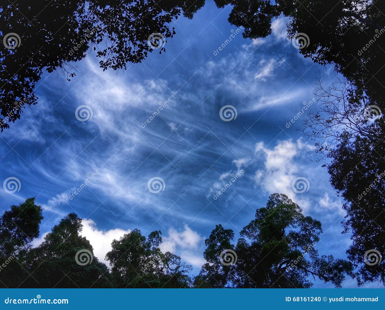 The blue sky in hdr stock photo. Image of blue, flora - 68161240
