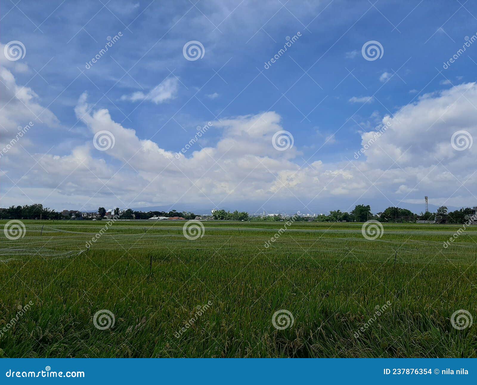 Blue Sky with Hope 31 Dec 2021 Stock Photo - Image of grass, tree ...