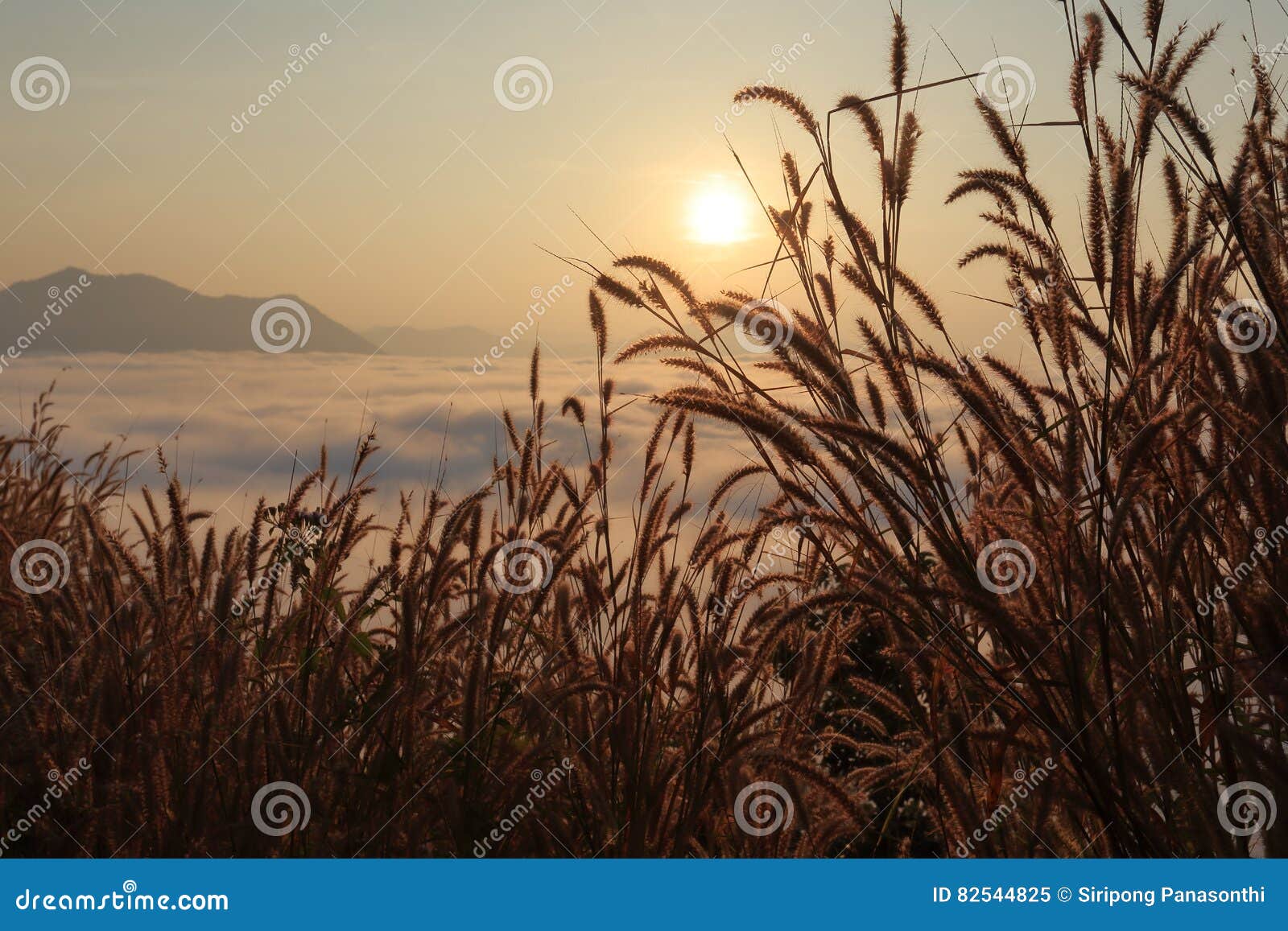 Blue sky with mist stock image. Image of meditation, phodrang - 82544825