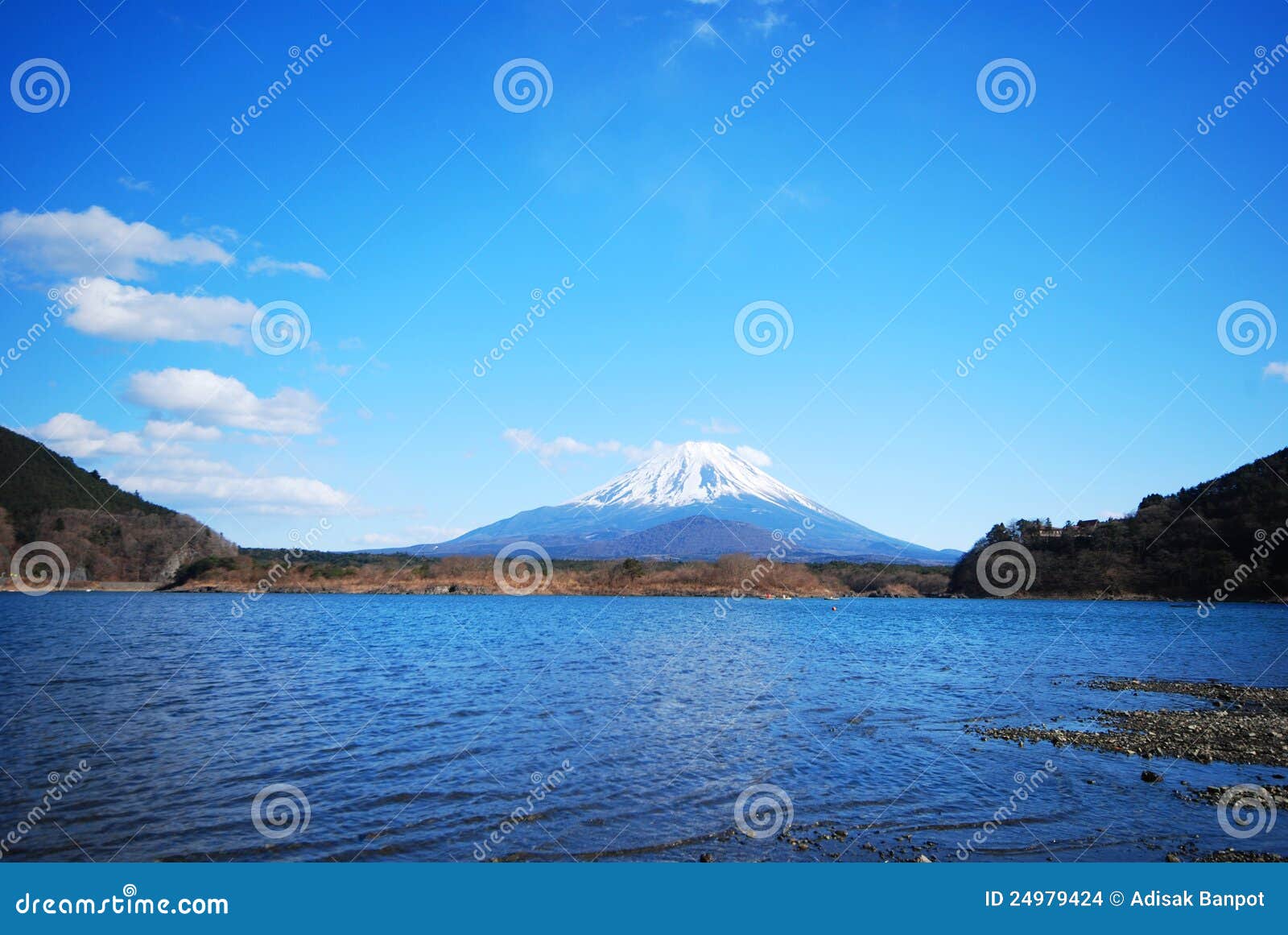 Blue sky and Mount Fuji stock photo. Image of flowers - 24979424