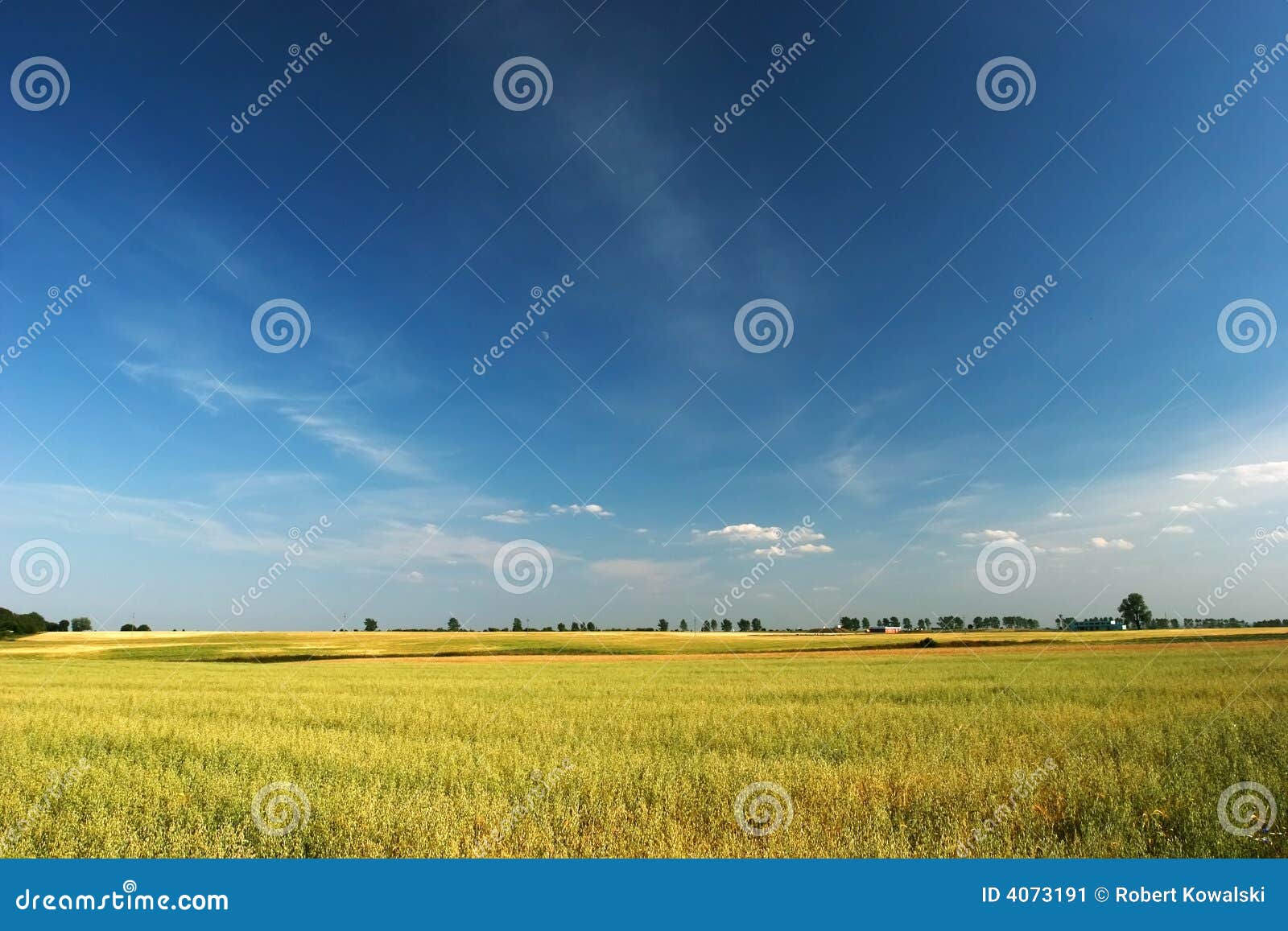 Blue sky over field stock image. Image of gold, produce - 4073191