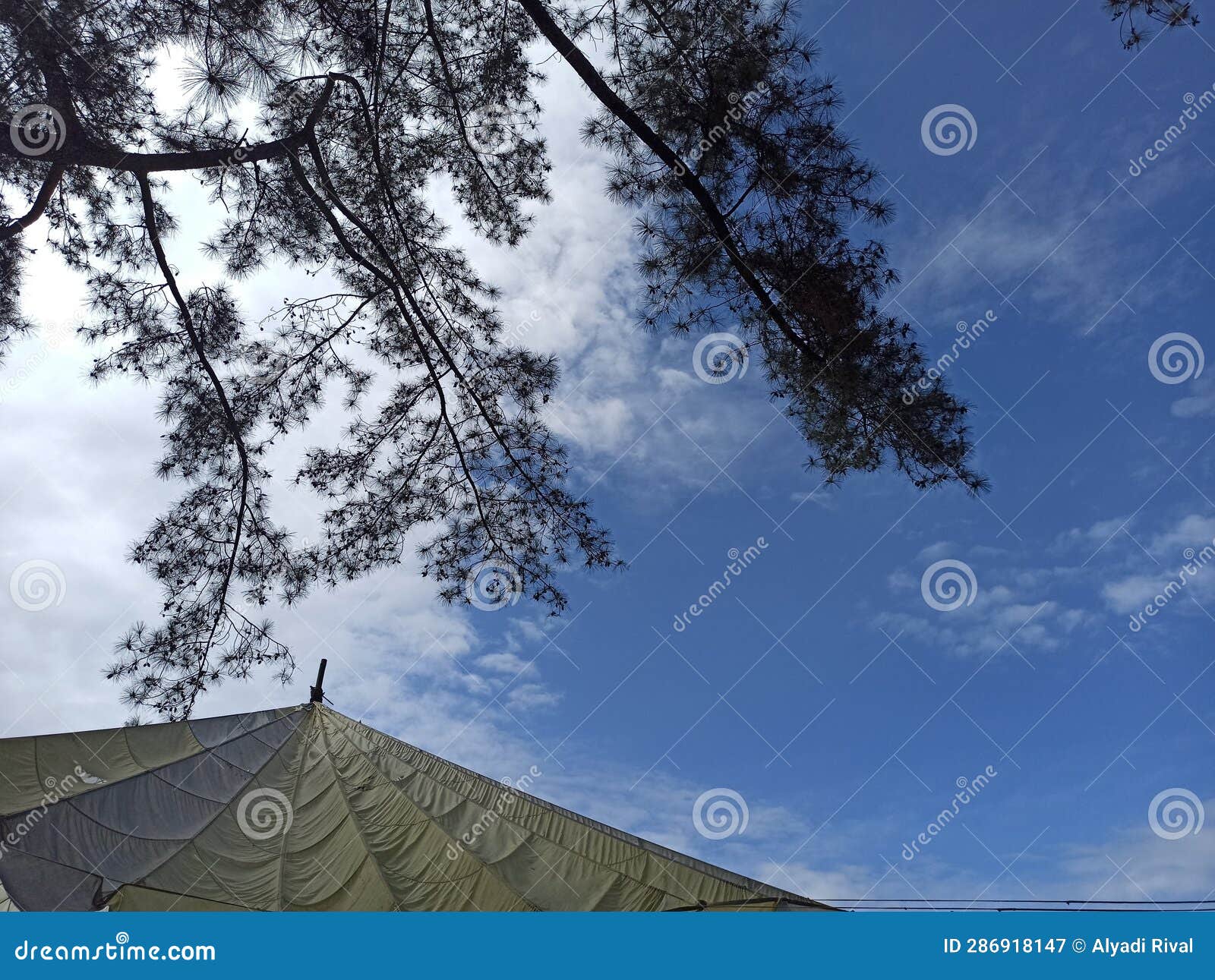 Blue Sky with Pine Trees and Military Tents in the Background Stock ...