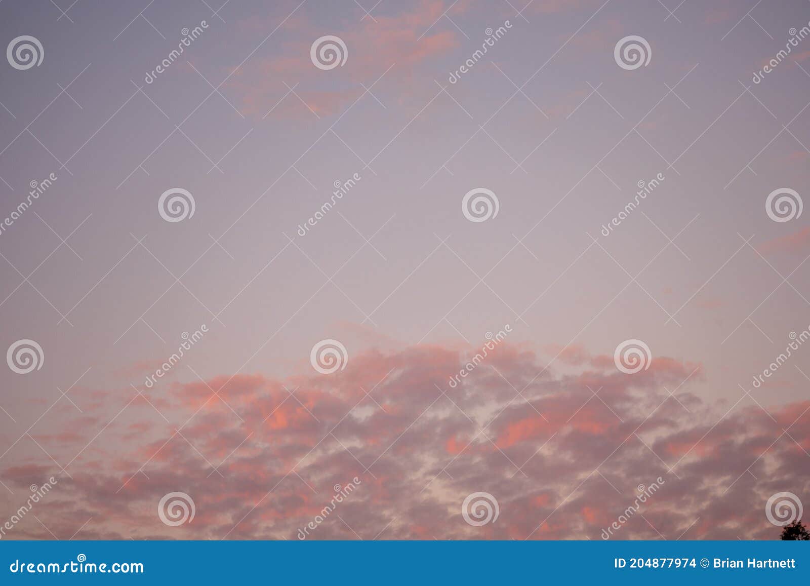 A Blue Sky with Pink Clouds at Sunset Stock Photo - Image of beautiful ...