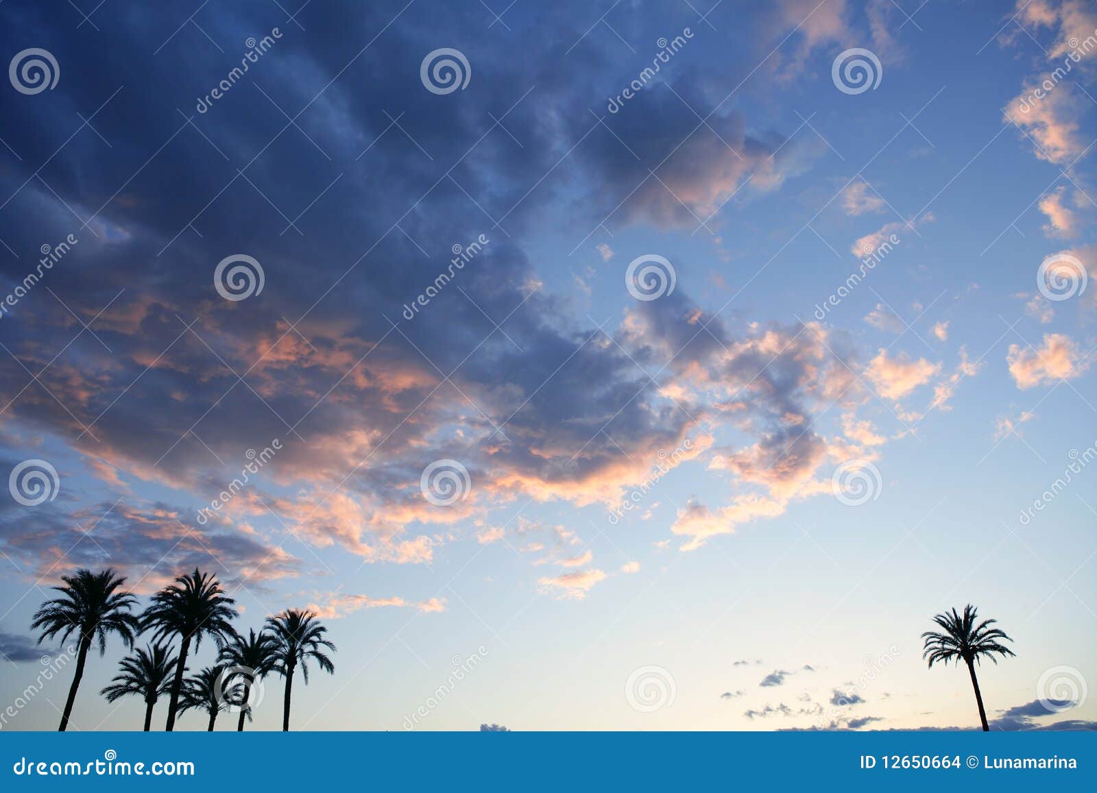 Blue Sky with Pink Gray Clouds Sunset Stock Photo - Image of green ...