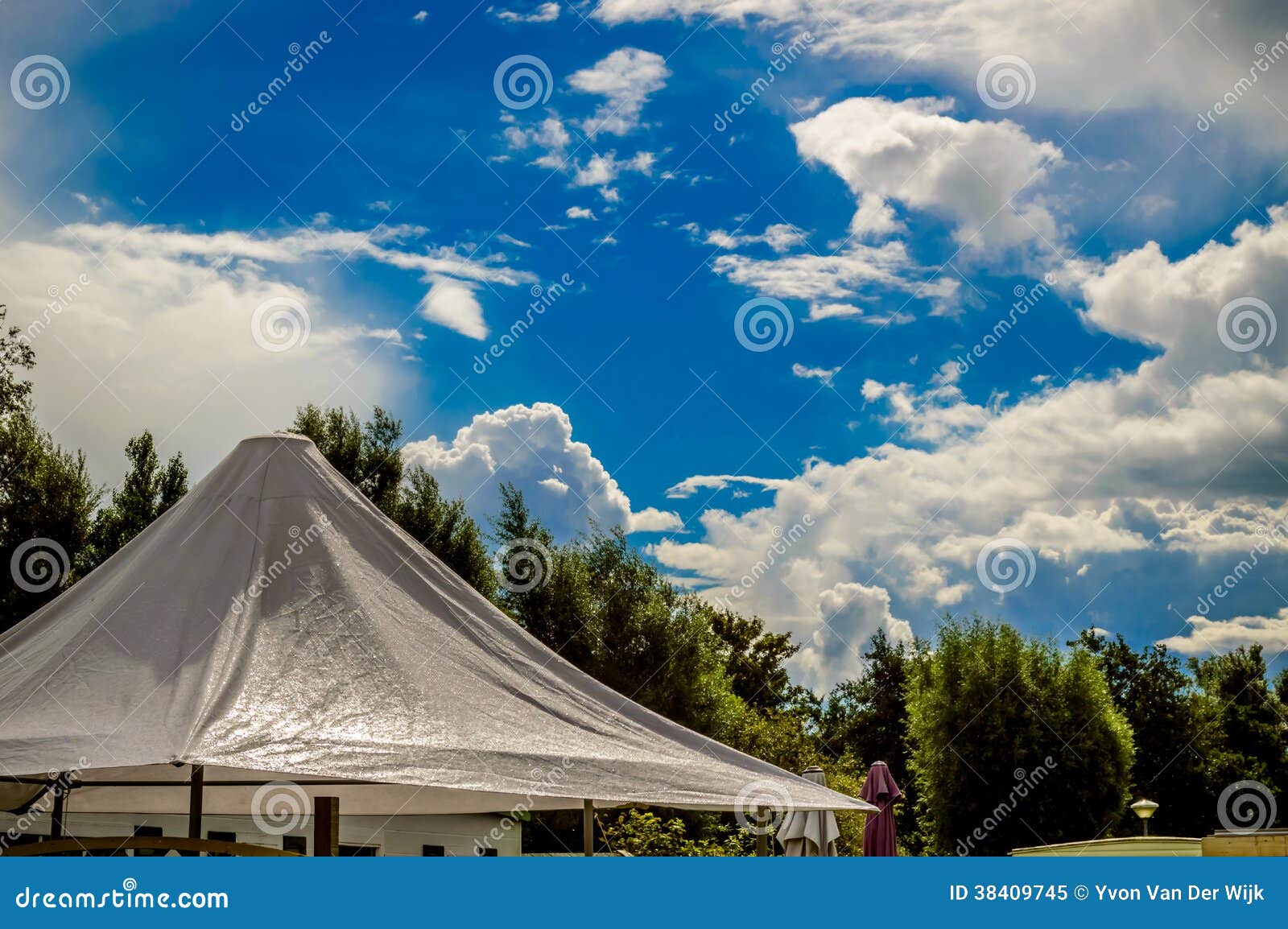 Blue sky after rain stock image. Image of plant, rain - 38409745