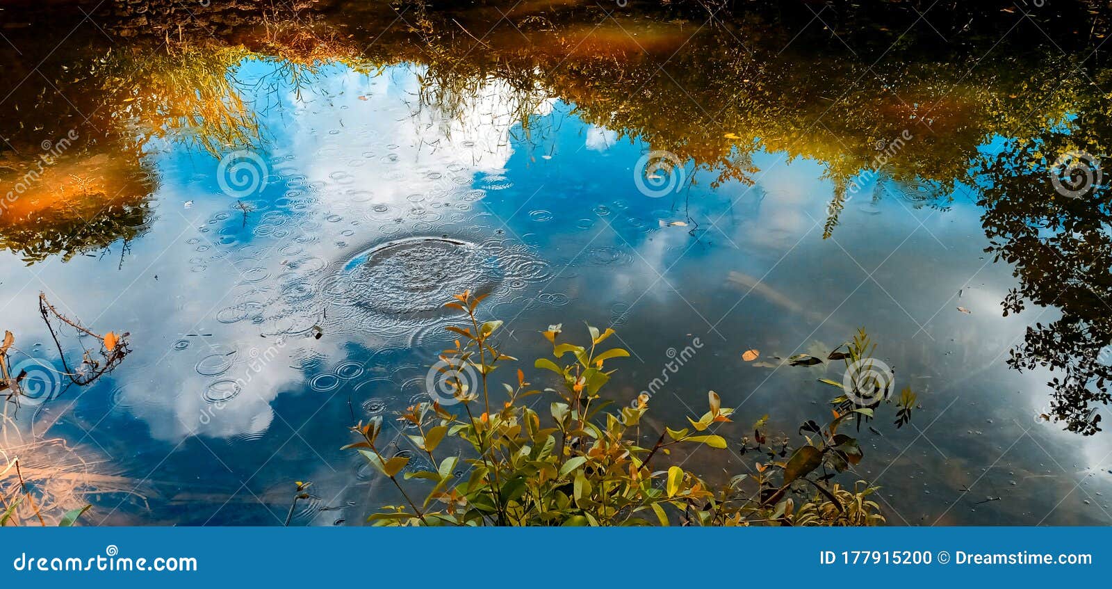 Blue Sky Reflections in the Lake Stock Photo - Image of brawn, awesome ...