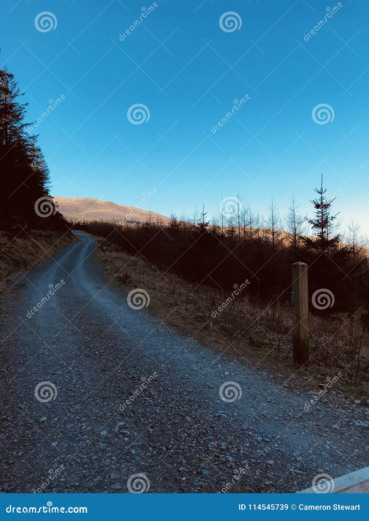 Long path stock image. Image of path, long, blue, road - 114545739