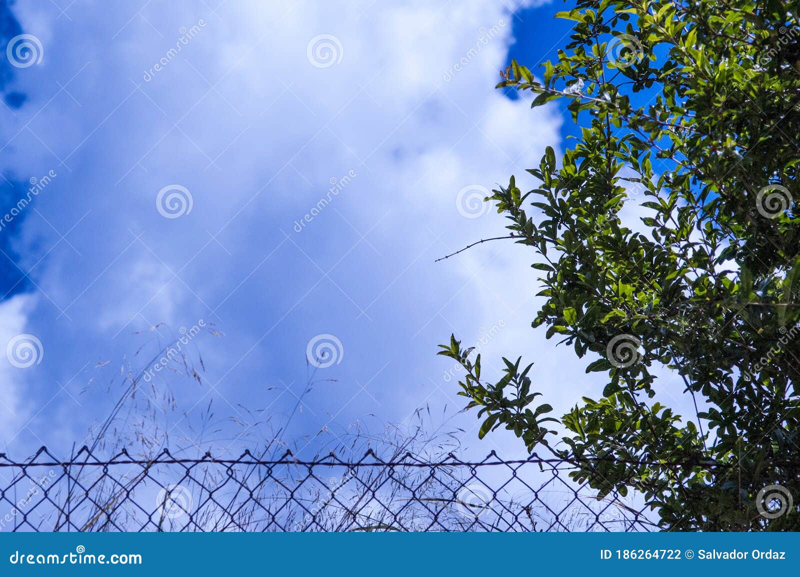 Blue Sky Saturated with Clouds Stock Photo - Image of atmosphere, pure ...