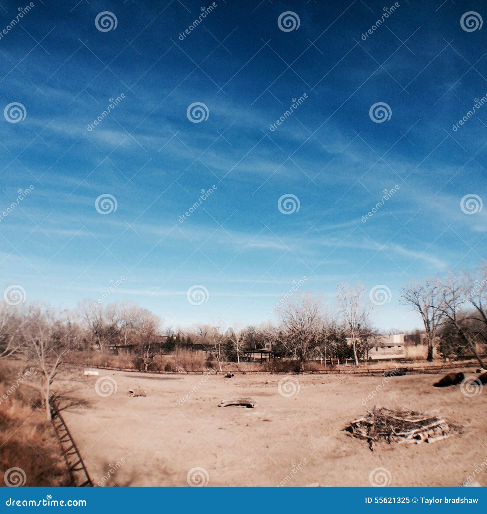 Blue sky scene stock image. Image of vivid, amazing, scene - 55621325