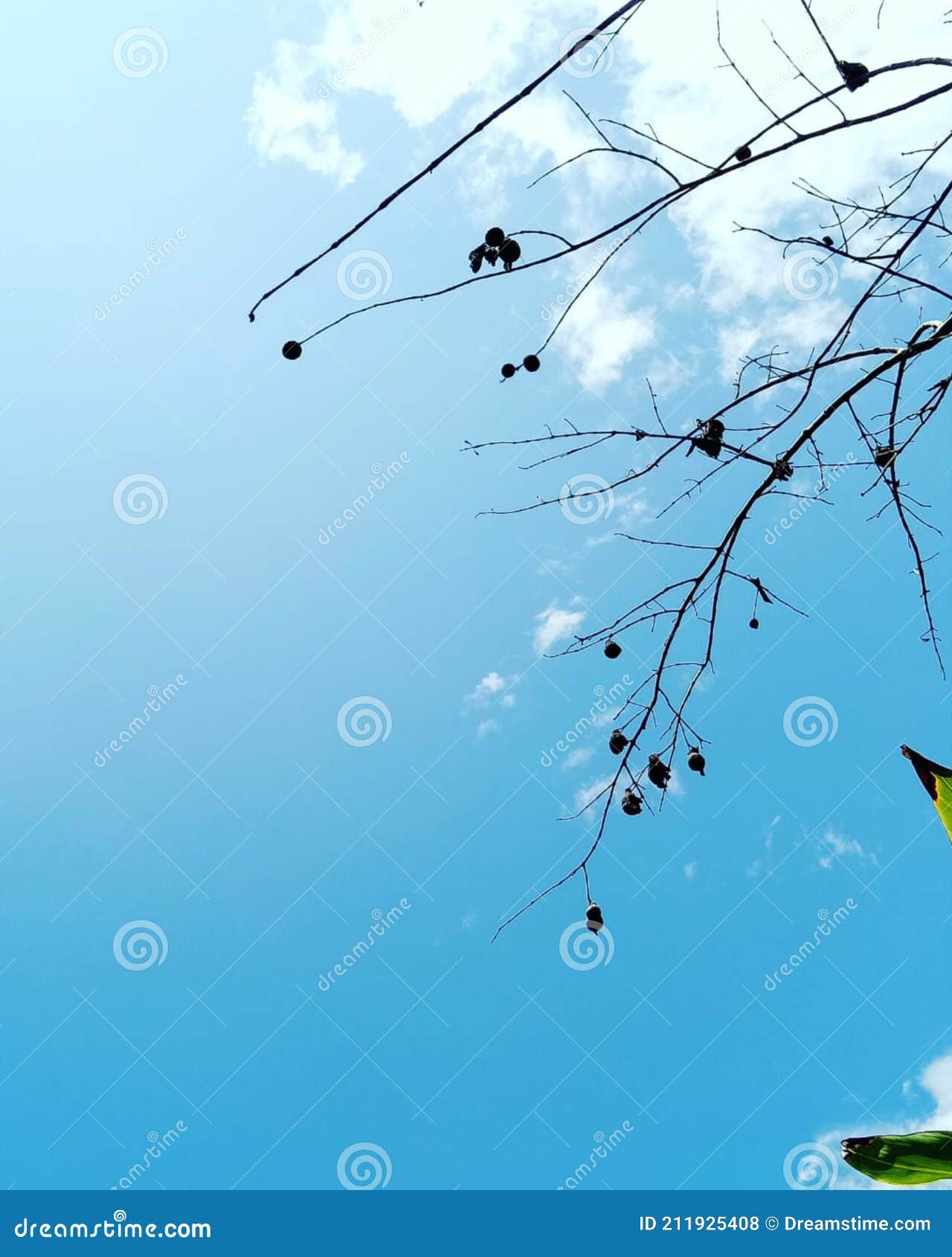 Blue Sky Shot from Down Angle View Stock Photo - Image of reflection ...