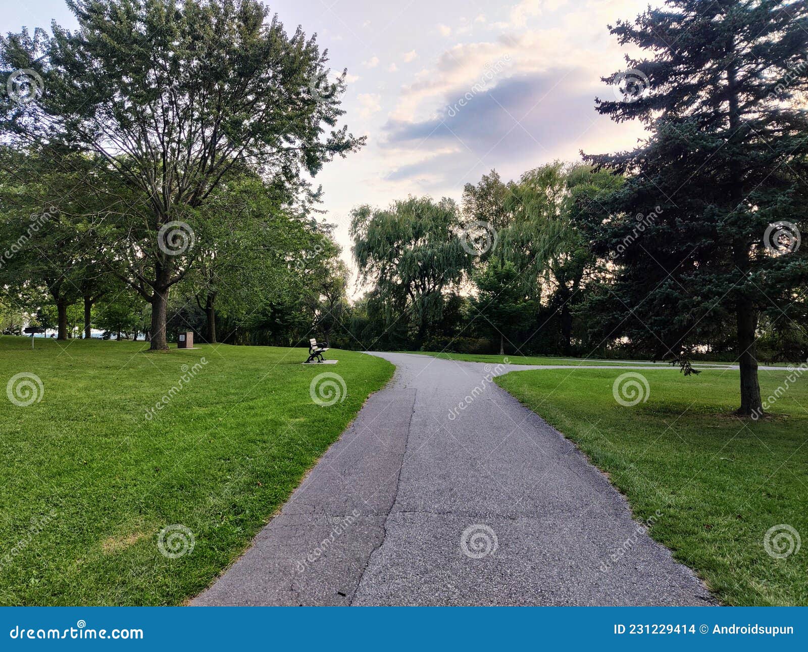 Lonely park and small path stock photo. Image of path - 231229414