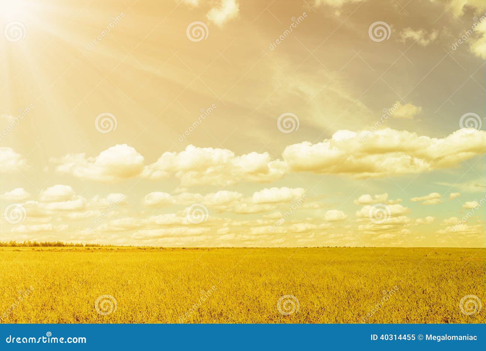 Blue Sky and Sun Rays Over the Plain Stock Image - Image of lawn ...