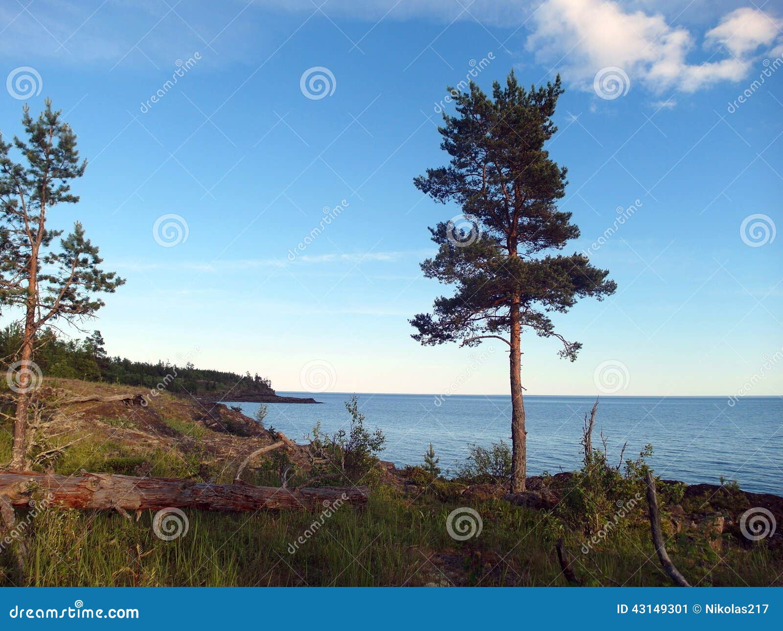 Blue sky sun and water stock image. Image of relaxation - 43149301