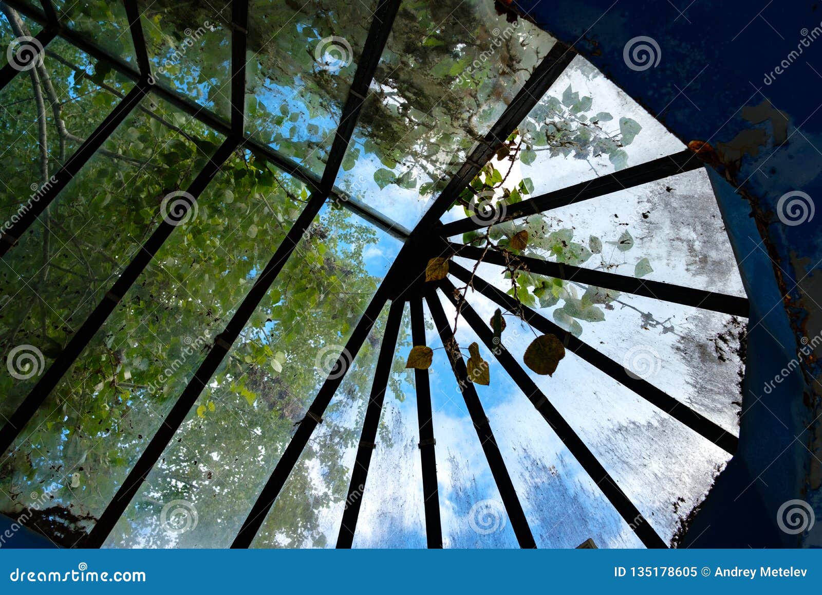 Blue Sky and Tree Branches through an Old-style Stained Glass Window, a ...
