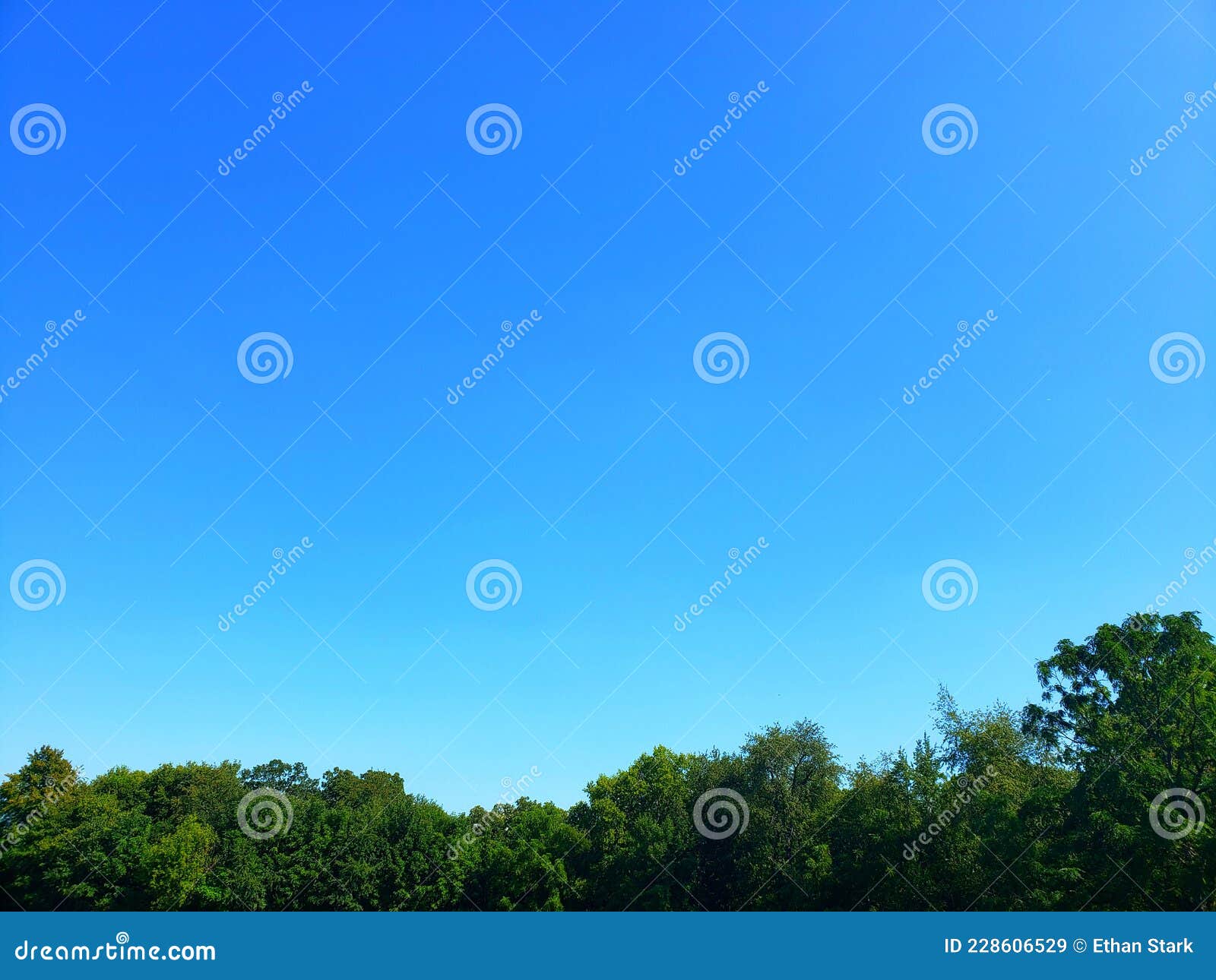 Blue Sky Treeline stock image. Image of tree, treeline - 228606529